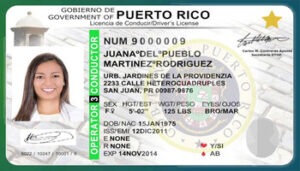 Como Llenar el Formulario DTOP-DIS-256 ᐈ Guía【2026